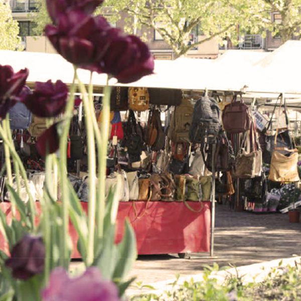 Centrum Zeist – Een nieuwe beleving